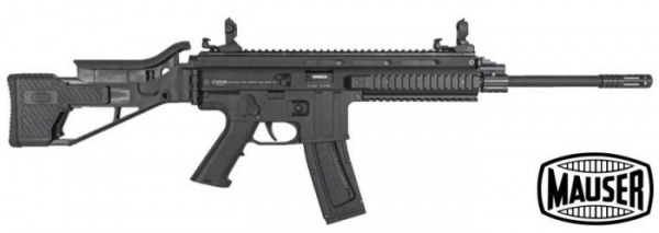 Ecotone Beaupré - Carabine M15 semi-automatique - Calibre 22lr (Non ...